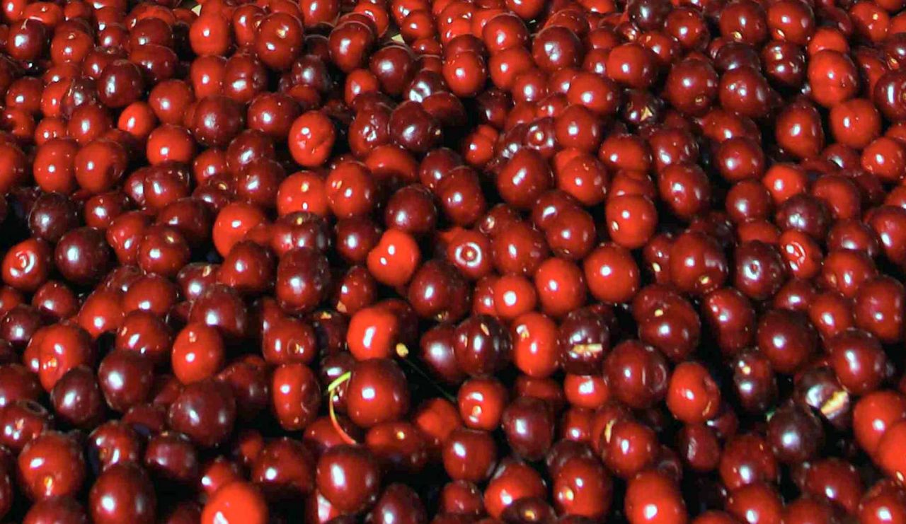 CEREZA PICOTA - Frutas Luzón
